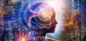 Gotu Kola - Nootropics Expert