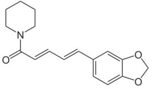 Piperine - Nootropics Expert