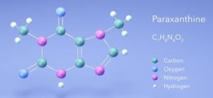 Paraxanthine - Nootropics Expert